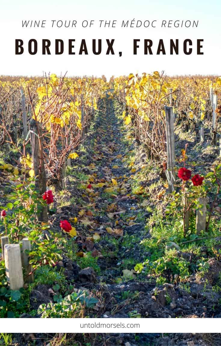 Grape discoveries on a Bordeaux wine tour - Untold Morsels travel blog